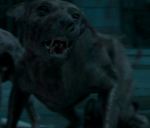 I Am Legend Infected Alpha Male
